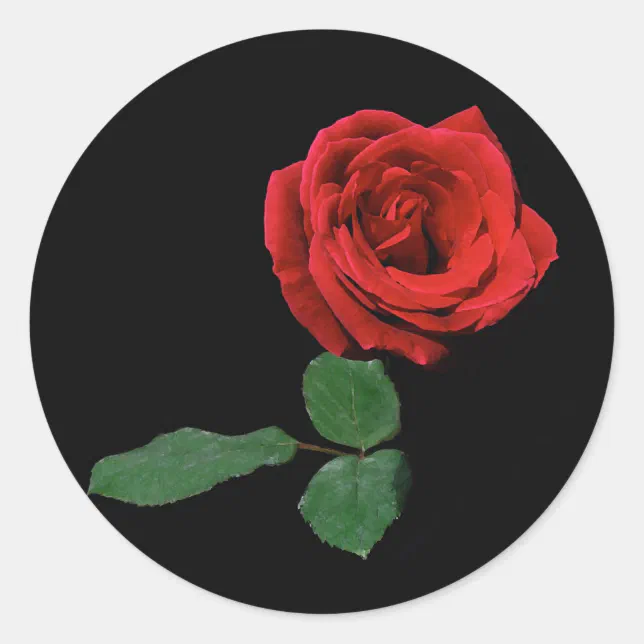 Single Red Rose Classic Round Sticker | Zazzle