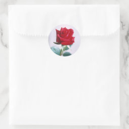 Single Red Rose Matching Stickers | Zazzle