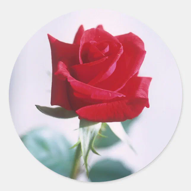 Single Red Rose Matching Stickers | Zazzle
