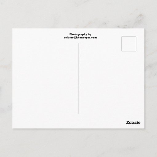 Sint Maarten - St. Martin Postcard | Zazzle