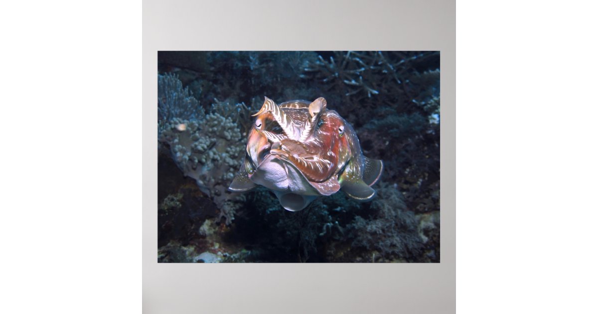 Siphon Flash Poster | Zazzle