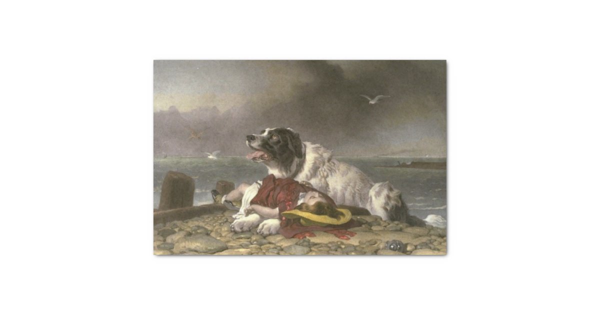 Sir Edwin Henry Landseer | Saved Tissue Paper | Zazzle