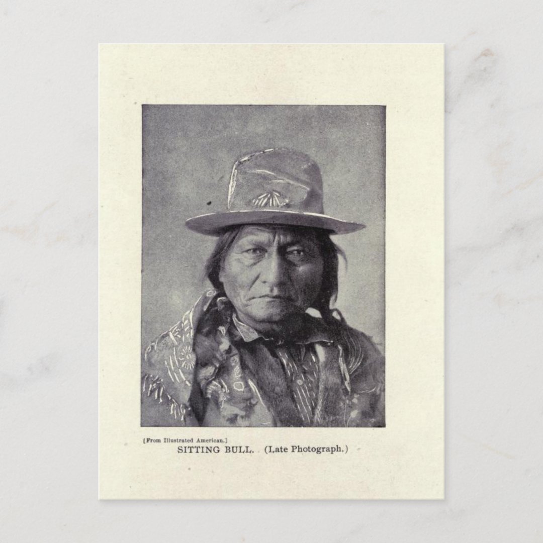 Sitting Bull Postcard | Zazzle