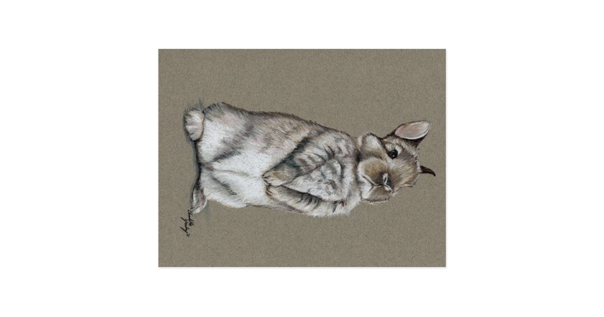 Sitting Bunny Rabbit Art Postcard | Zazzle.com