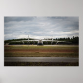 Sitting duck poster | Zazzle