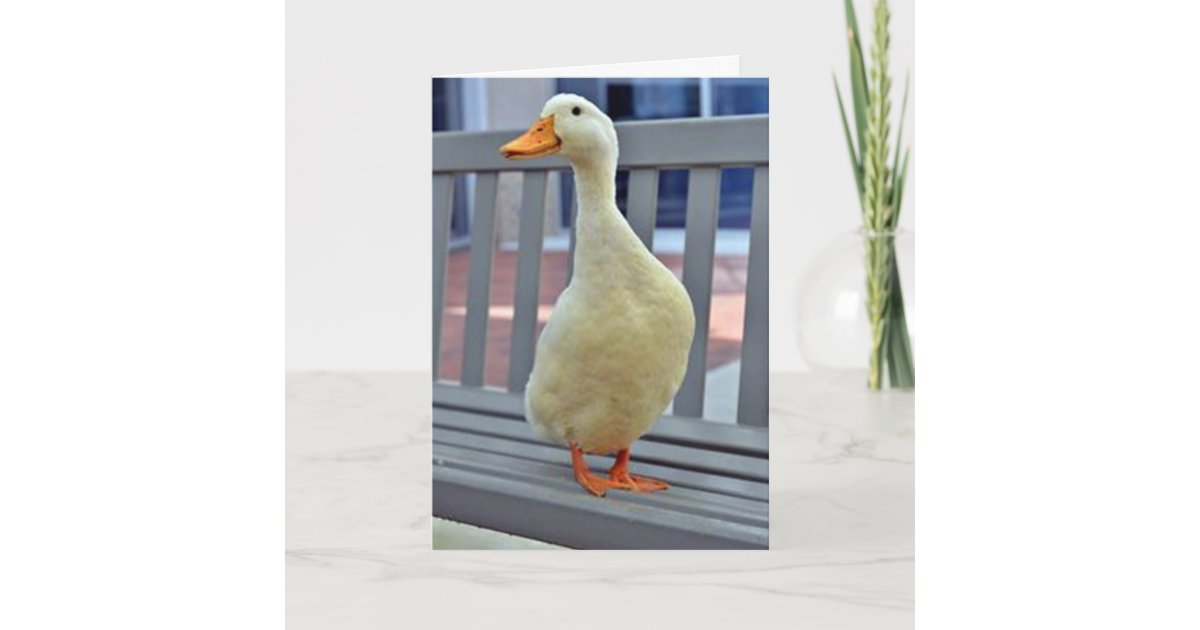 "SITTING DUCK" says HAPPY EASTER Holiday Card | Zazzle