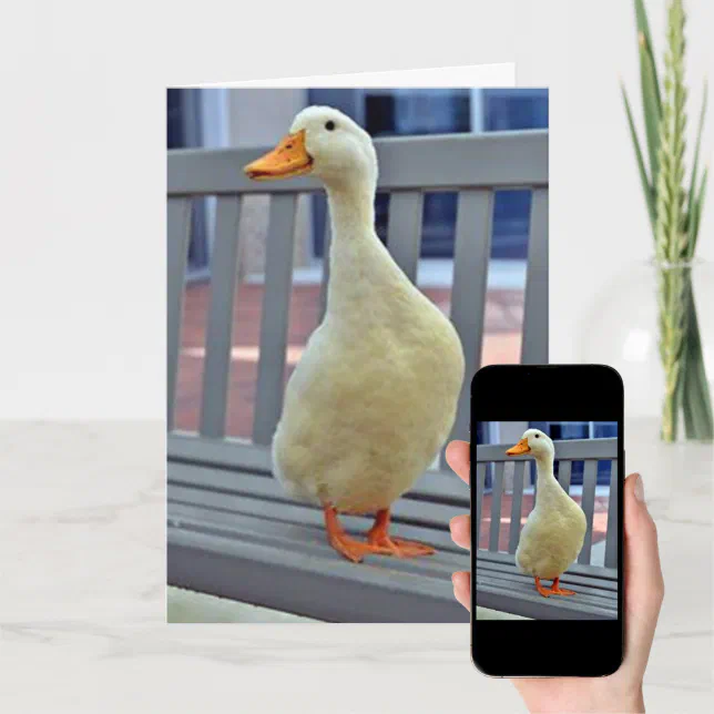 "SITTING DUCK" says ***MISSING YOU*** BOO HOO Card | Zazzle