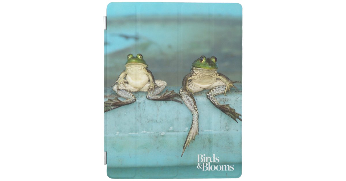 Sitting Frogs iPad Smart Cover | Zazzle