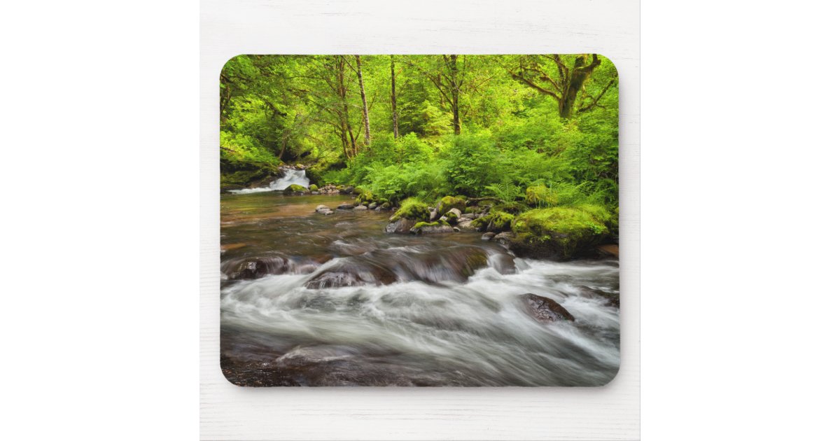 Siuslaw National Forest, Sweet Creek, Oregon Mouse Pad | Zazzle