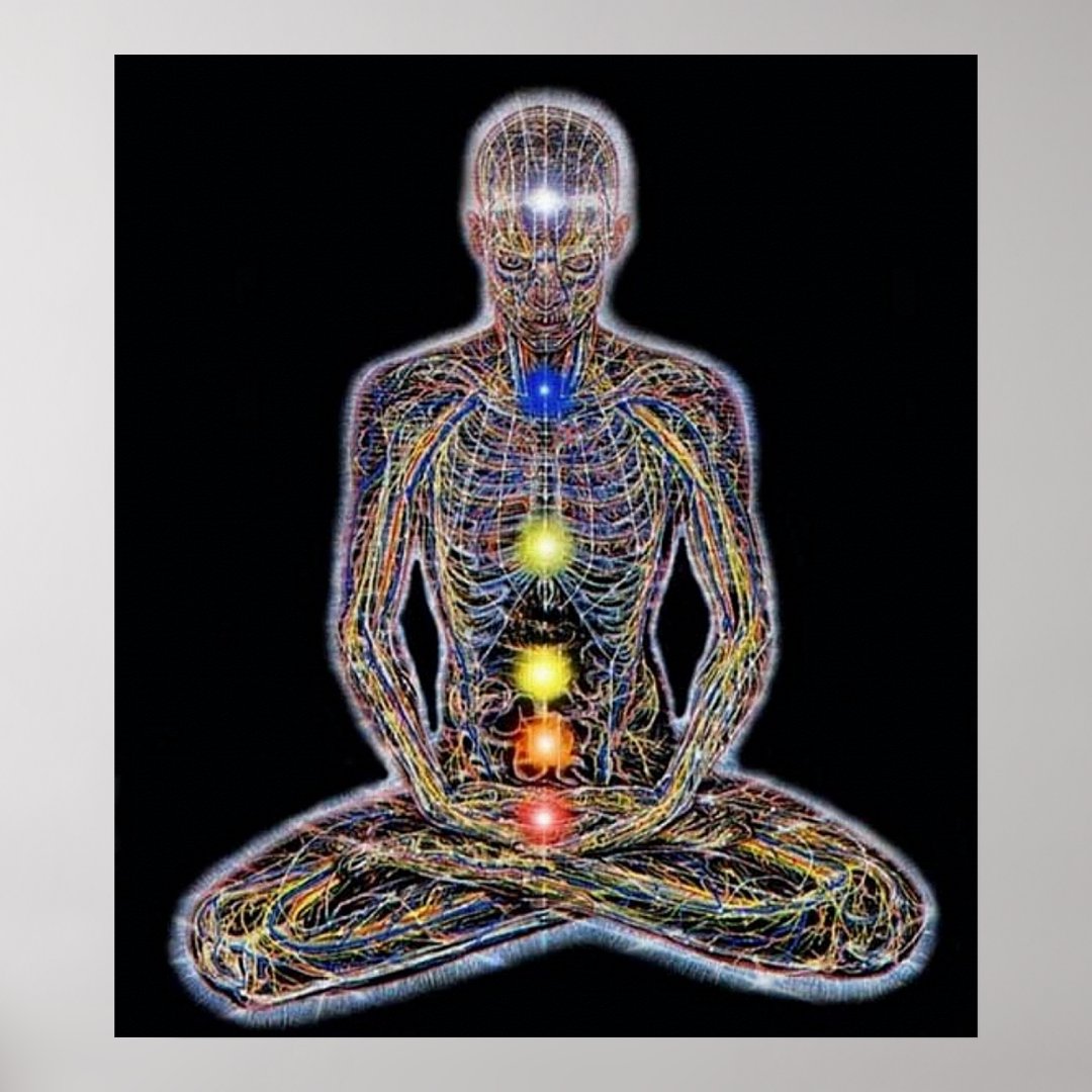 Six Chacras/Chakra Hinduism Poster | Zazzle