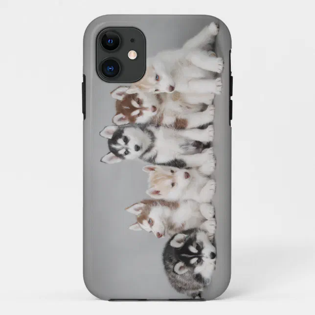 Six huskies Case-Mate iPhone case | Zazzle