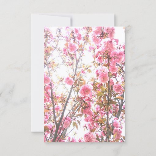 Sixteenth Birthday Hot Pink Cherry Blossom Floral Invitation | Zazzle
