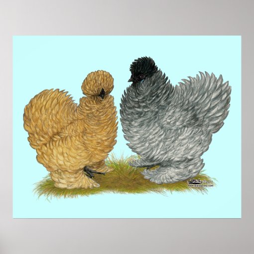 Sizzle Chickens Poster | Zazzle