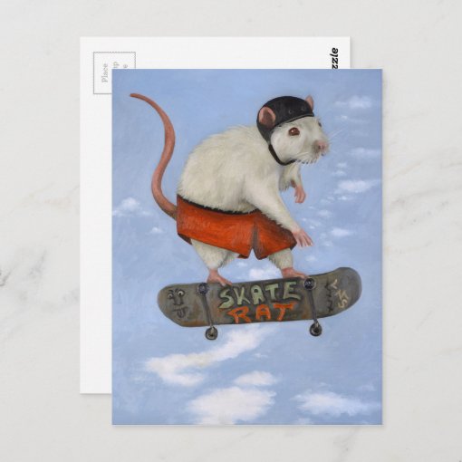 Skate Rat Postcard | Zazzle