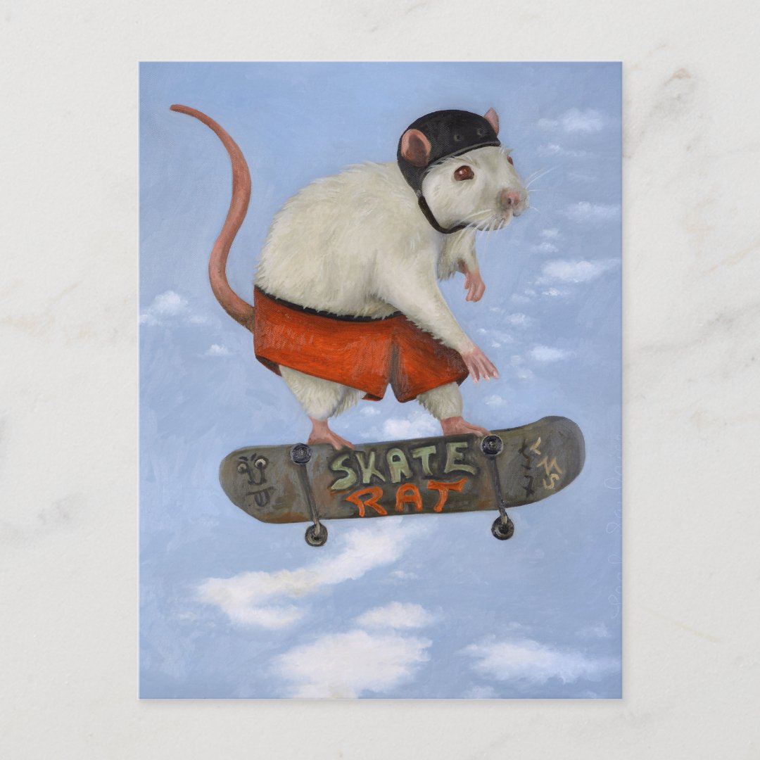 Skate Rat Postcard | Zazzle