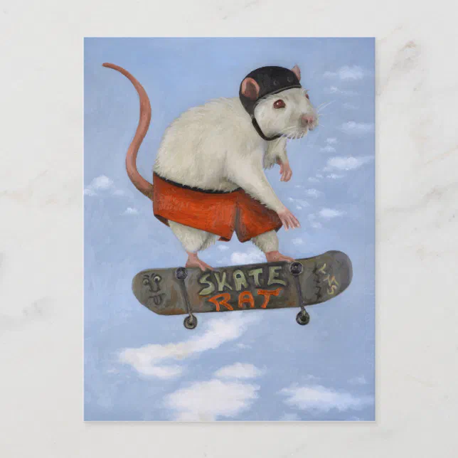 Skate Rat Postcard | Zazzle