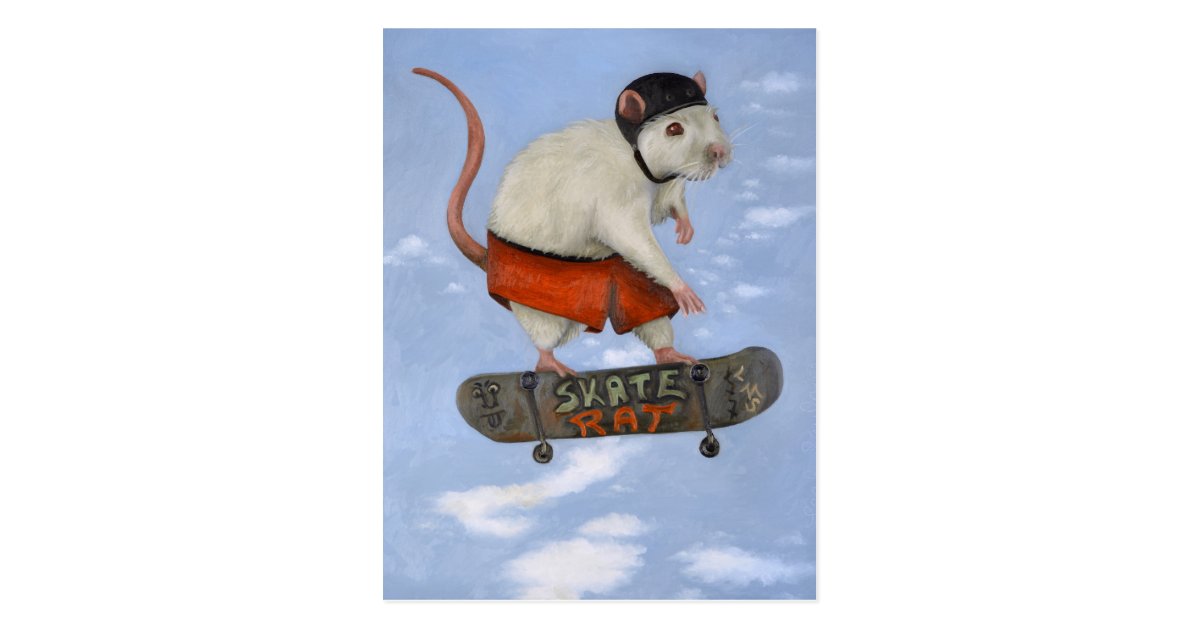 Skate Rat Postcard | Zazzle.com
