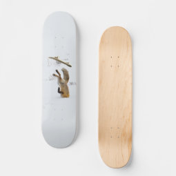 Skater Fox Skateboard | Zazzle