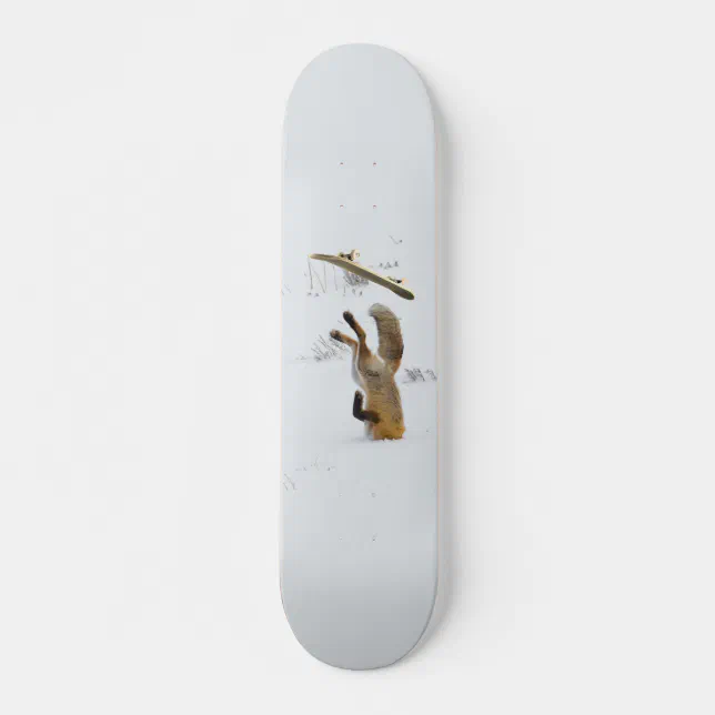 Skater Fox Skateboard | Zazzle
