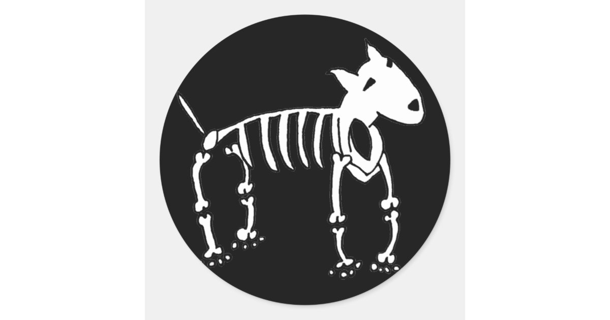 Skeleton Bull Terrier Dog Classic Round Sticker | Zazzle