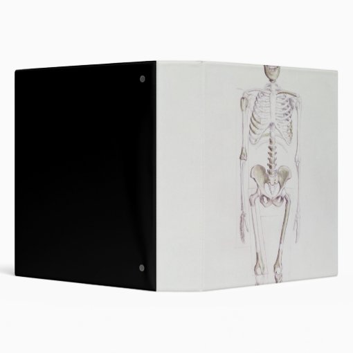 Skeleton of Australopithecus africanus Binder | Zazzle