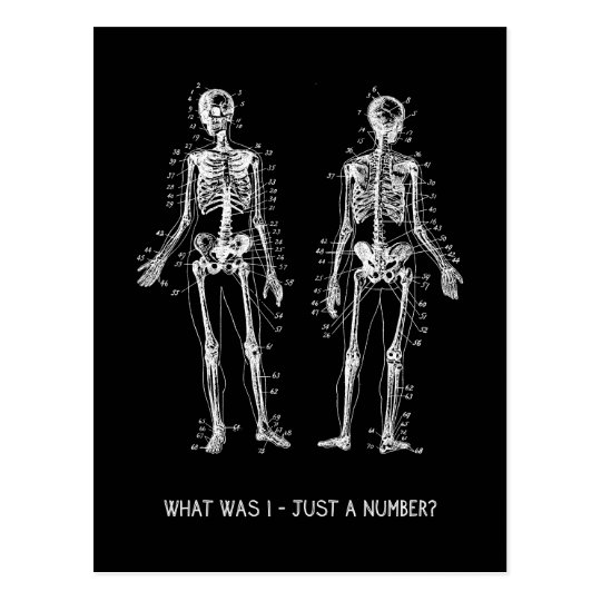 Skeleton Questions for Halloween Postcard | Zazzle.com