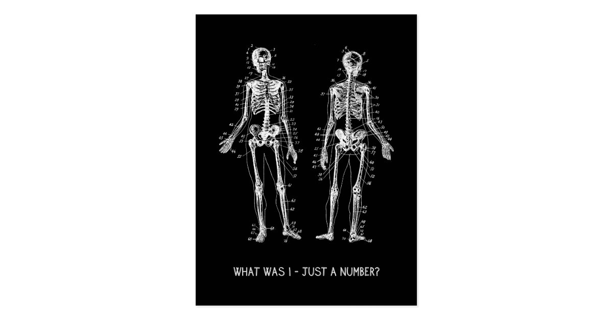 Skeleton Questions for Halloween Postcard | Zazzle.com
