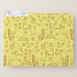 Sketches of Kitty Cats File Folders | Zazzle