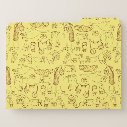 Sketches of Kitty Cats File Folders | Zazzle