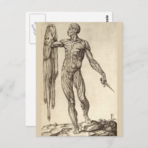 Skinned Alive Postcard | Zazzle