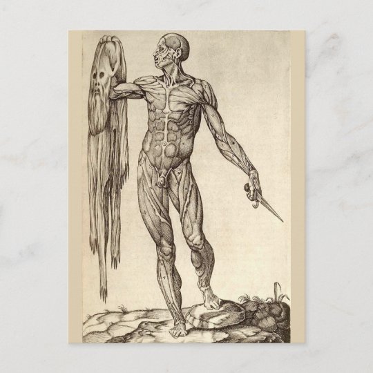 Skinned Alive Postcard | Zazzle.com