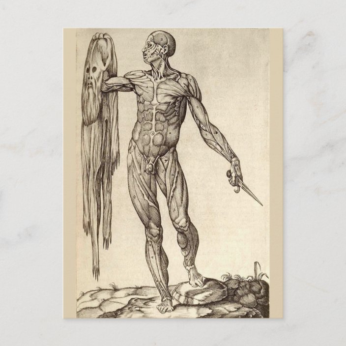 Skinned Alive Postcard | Zazzle.com