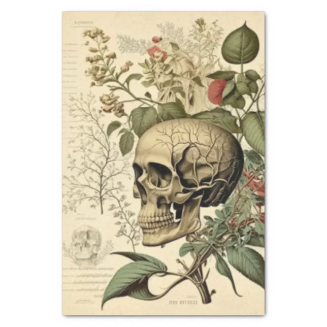 Skull and botany Victorian Decoupage Tissue Paper | Zazzle