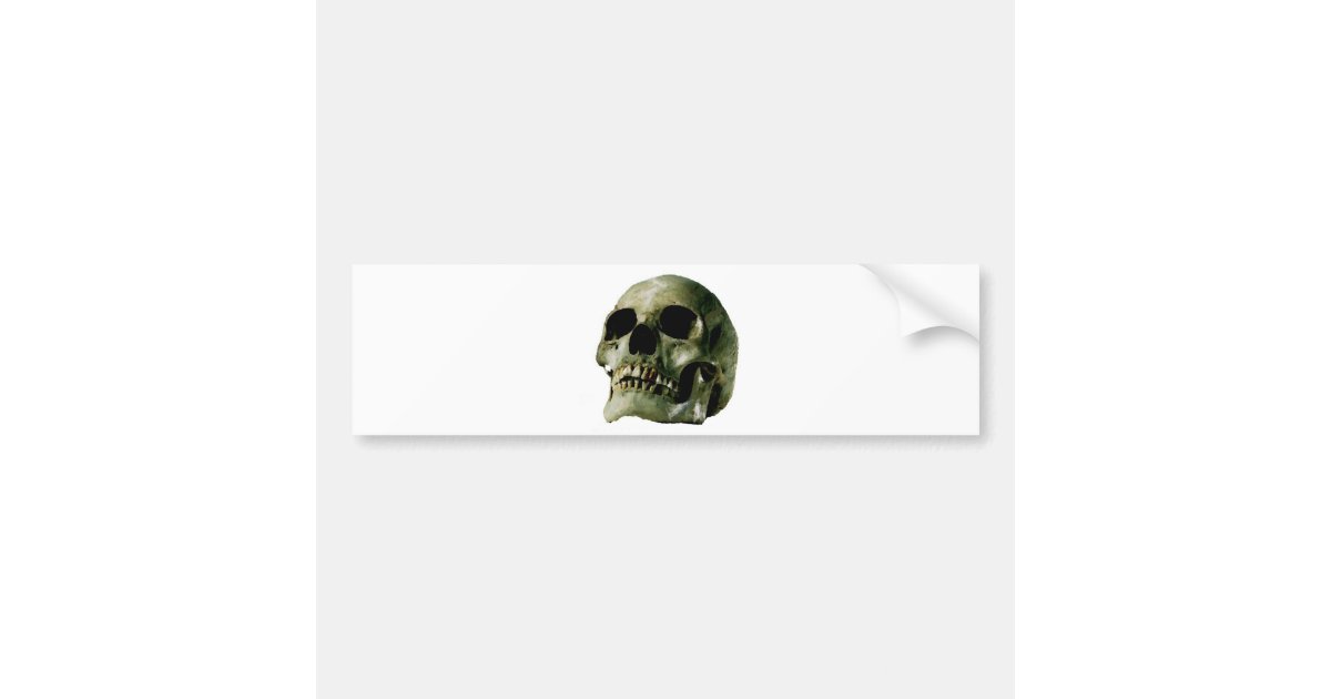 Skull Bumper Sticker | Zazzle