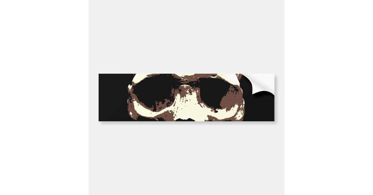Skull Bumper Sticker | Zazzle