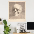 Skull, Front View Poster | Zazzle