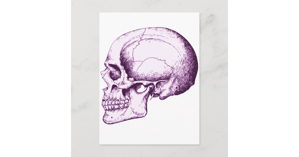 Skull Postcard | Zazzle