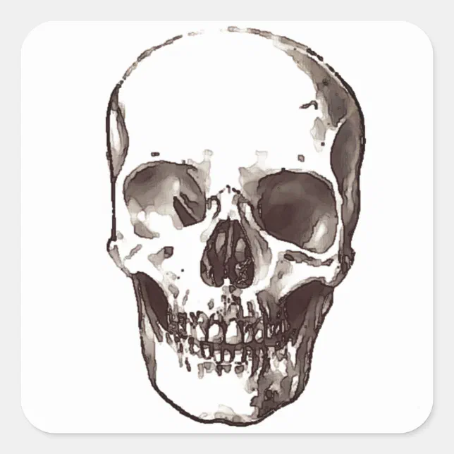 Skull Sepia White Square Sticker | Zazzle
