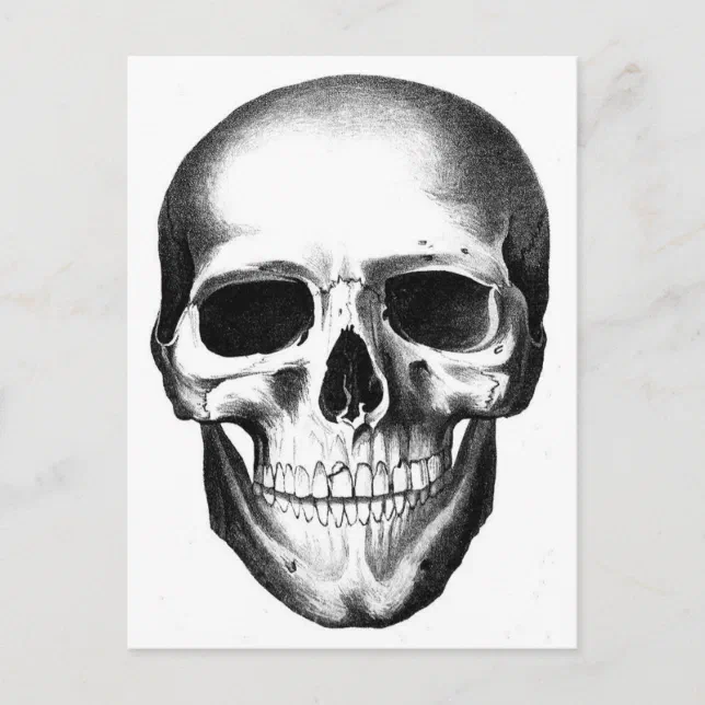 Skull Skeleton Head Scary Creepy Halloween Postcard | Zazzle