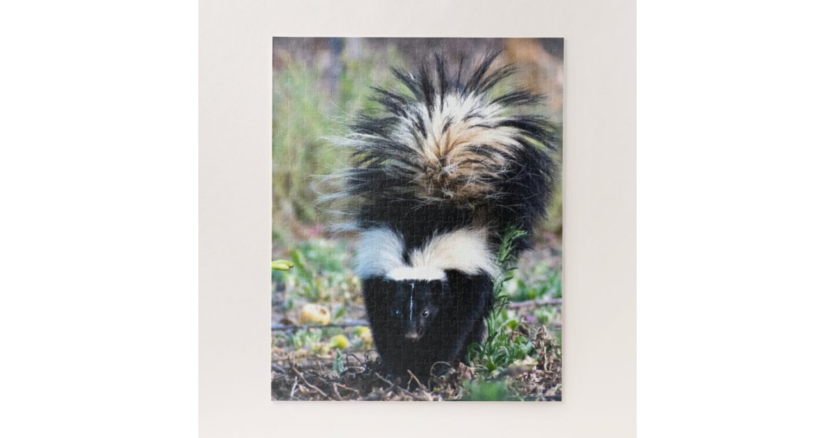 Skunk Black and White Jigsaw Puzzle | Zazzle