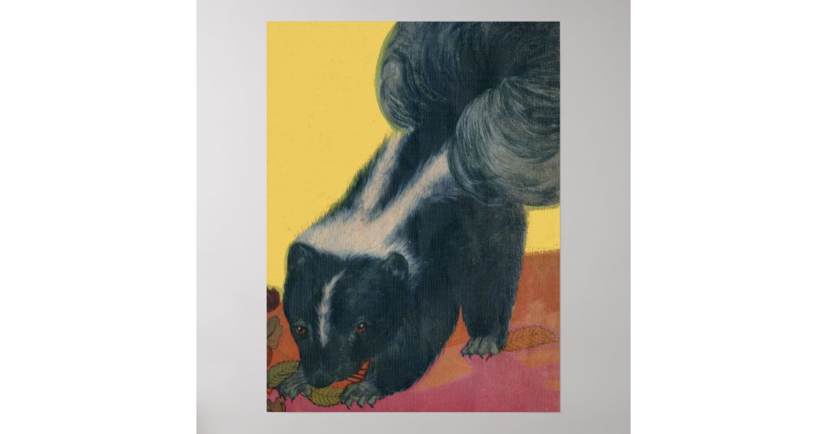 skunk poster | Zazzle