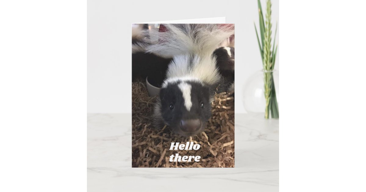 **SKUNK SAYS HAPPY BIRTHDAY** CARD | Zazzle