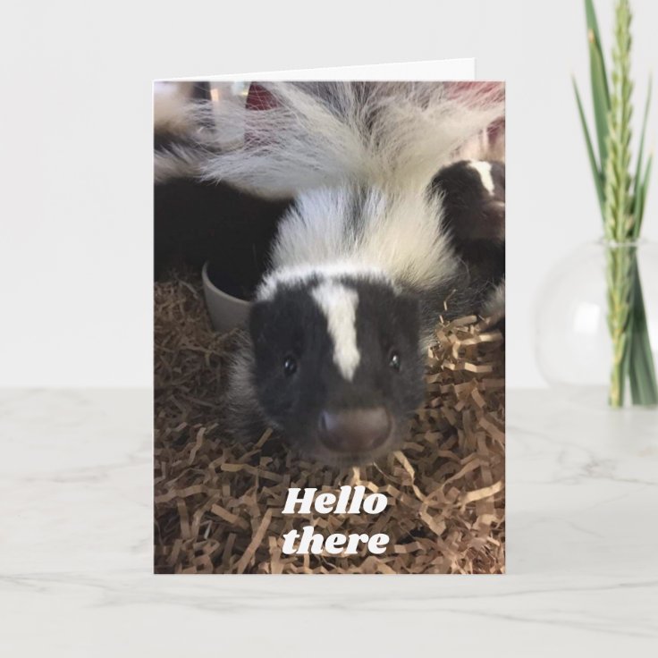 **SKUNK SAYS HAPPY BIRTHDAY** CARD | Zazzle