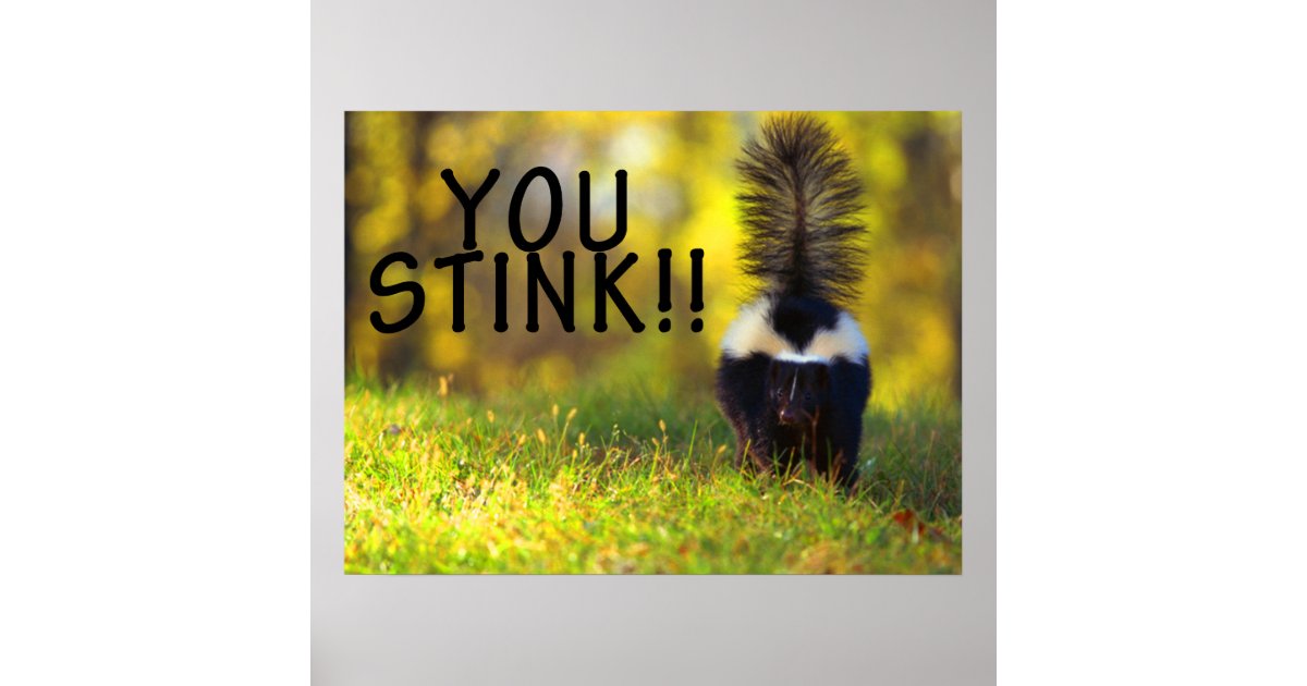 Skunk You Stink Poster | Zazzle