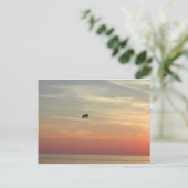 Skydiving Postcard | Zazzle
