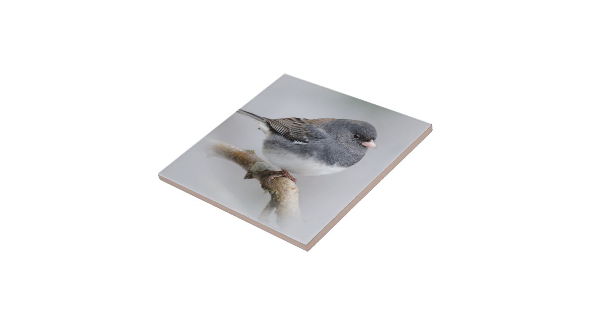 Slate-Colored Dark-Eyed Junco on the Pear Tree Ceramic Tile | Zazzle