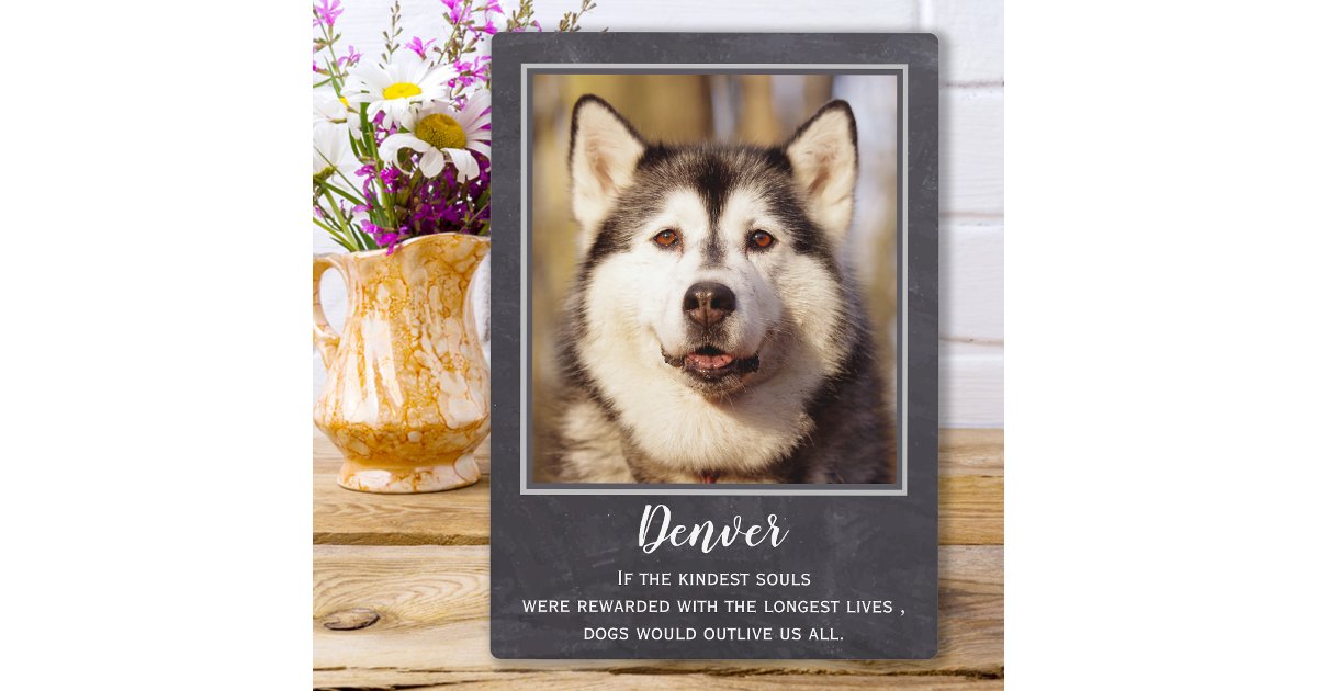Slate Pet Memorial Dog Lover Keepsake Plaque | Zazzle