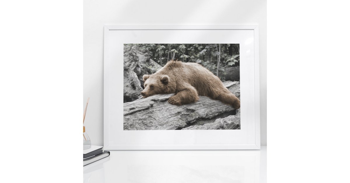 Sleep Bear on Log Rustic Cabin Poster | Zazzle