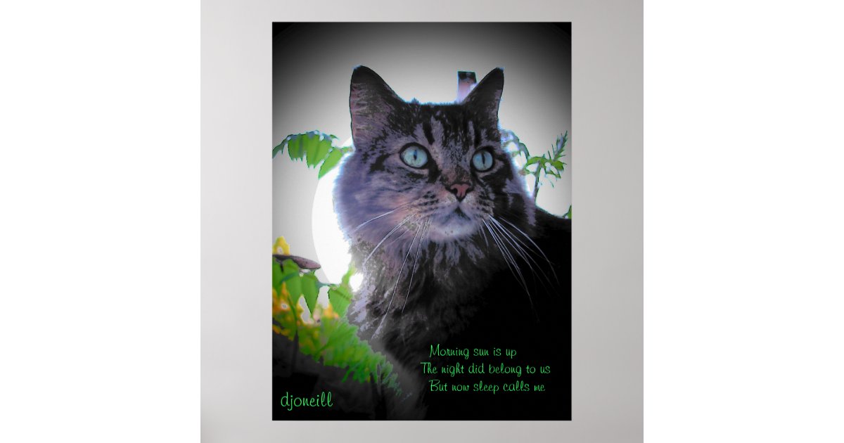 Sleep calls me poster | Zazzle