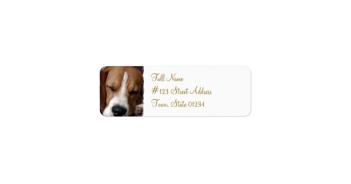 Sleeping Beagle Return Address Label | Zazzle
